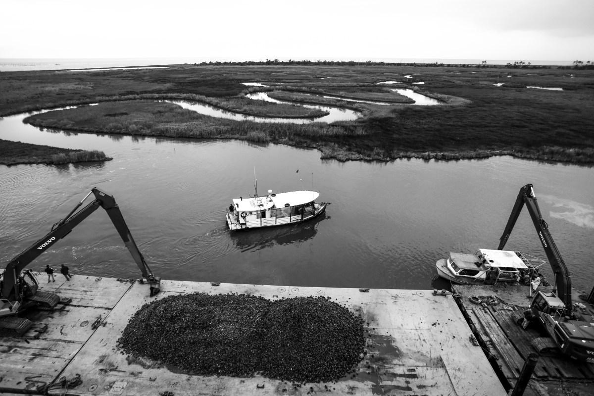 Documentary | AMANDA MCCOY